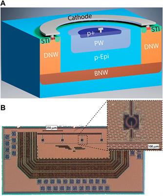 Frontiers | Sub-10 ps Minimum Ionizing Particle Detection With Geiger-Mode APDs